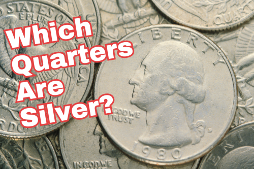 Buy 100 oz Silver Bars | Wholesale Coins Direct